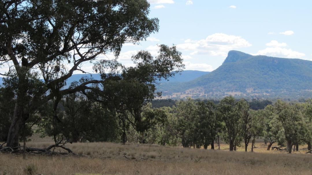 Discover Australia's Capertee Valley Bird Festival Event