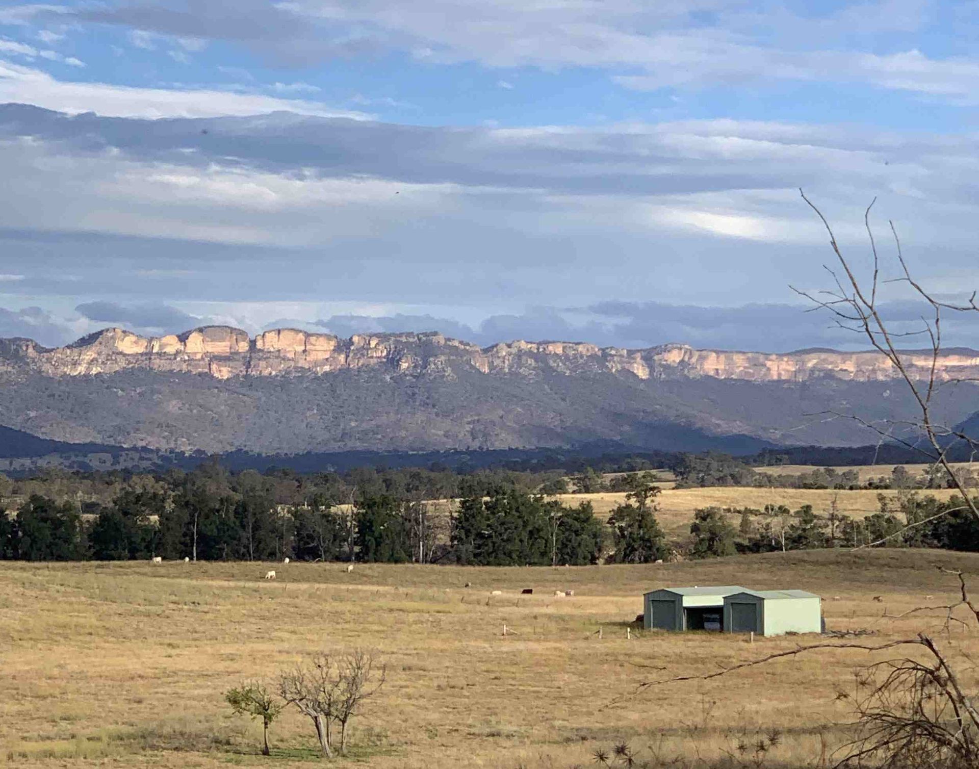 Capertee Valley Bird Festival, Glen Alice NSW!